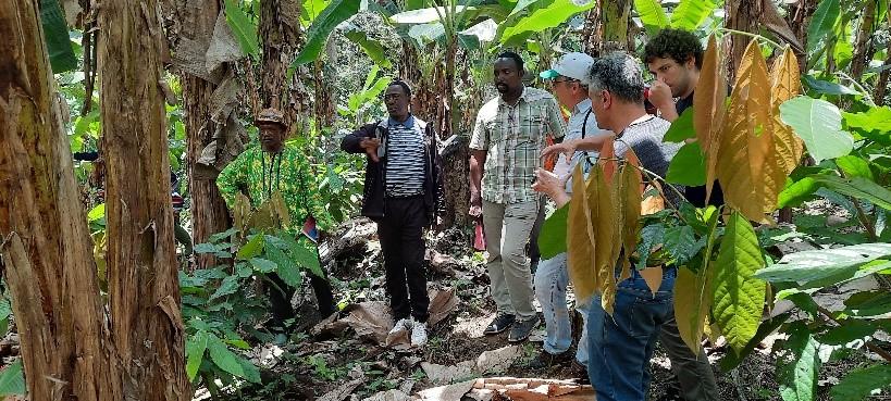 Construction d’une fiche projet sur les stratégies de production d’un cacao « zero déforestation ...